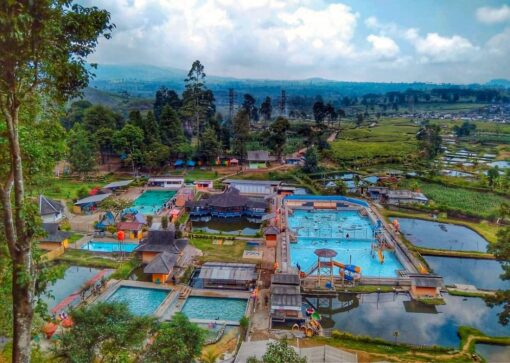 Bolu Susu Lembang % - Bolu Susu Lembang