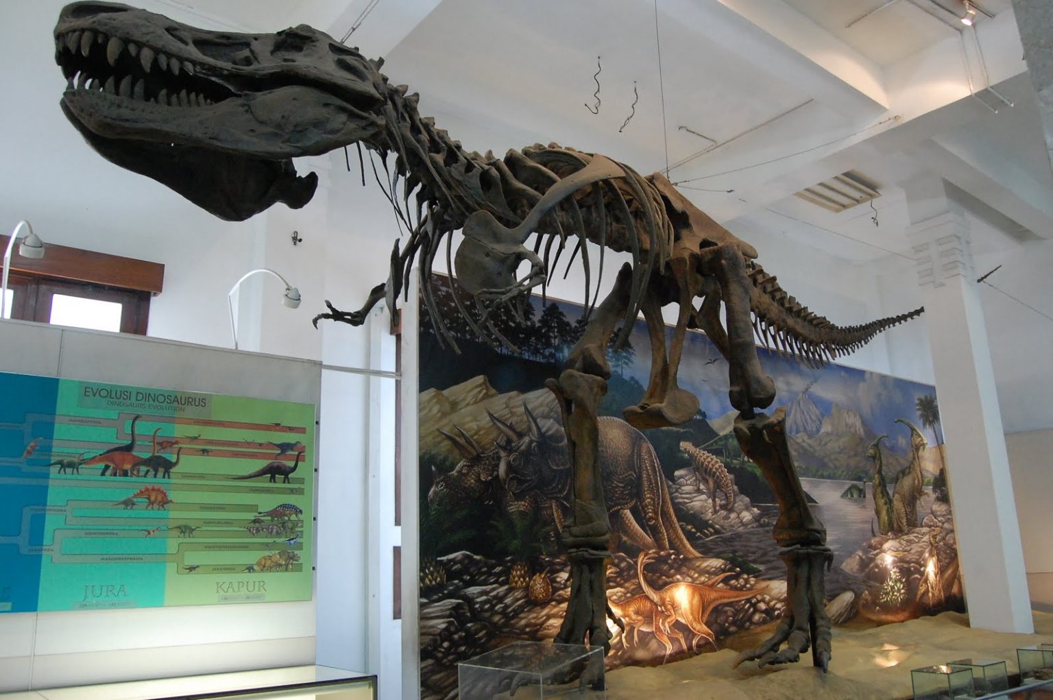 Museum Geologi Bandung, Review yuk! - Bolu Susu Lembang